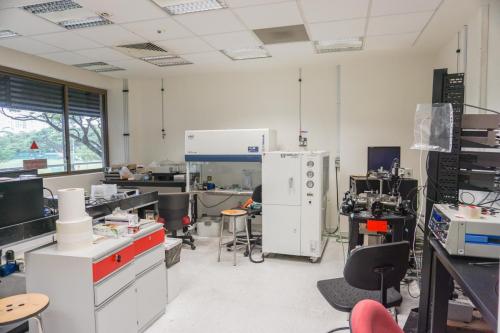 Laboratories - Centre for Advanced 2D Materials | Centre for Advanced ...