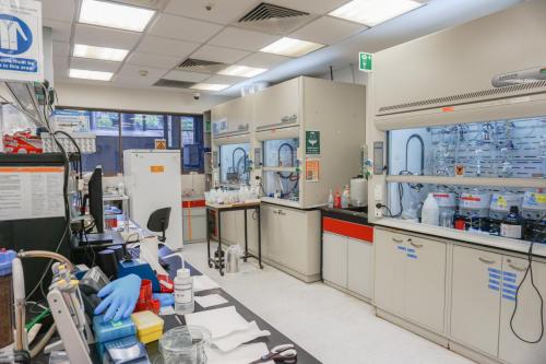 Laboratories - Centre for Advanced 2D Materials | Centre for Advanced ...
