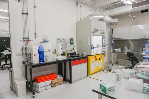 Laboratories - Centre for Advanced 2D Materials | Centre for Advanced ...