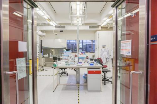Laboratories - Centre for Advanced 2D Materials | Centre for Advanced ...