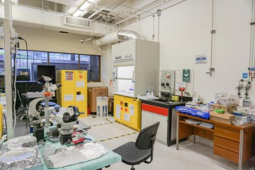 Laboratories - Centre for Advanced 2D Materials | Centre for Advanced ...